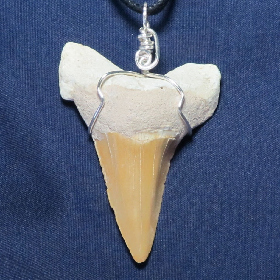 Fossilized Shark Tooth Wire Wrapped Pendant on Cord – Blue Moon ...