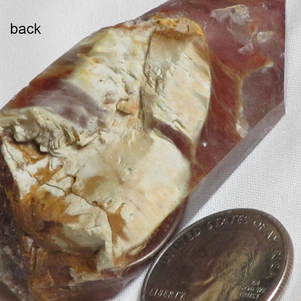 Rare Amphibole Angel Wing Phantom Quartz Crystal Point – Blue Moon ...